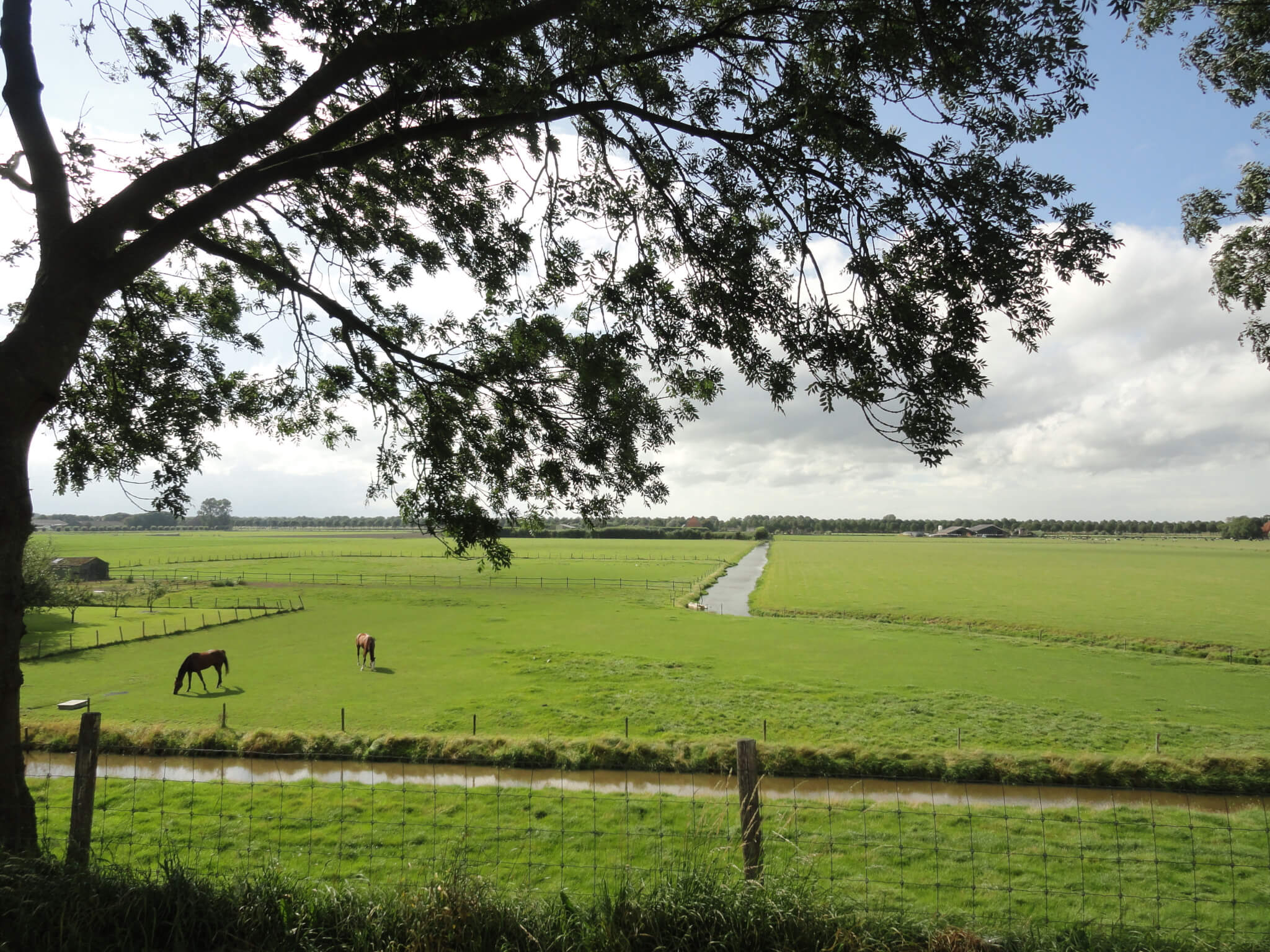 Renaissance in de polder; de Beemster is een architectonisch landschap ...