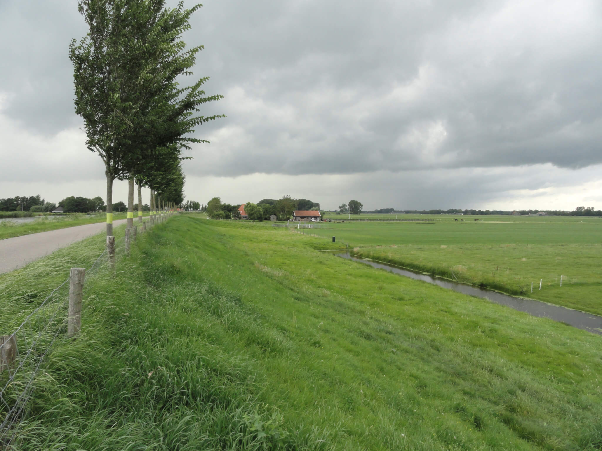 Renaissance in de polder; de Beemster is een architectonisch landschap ...